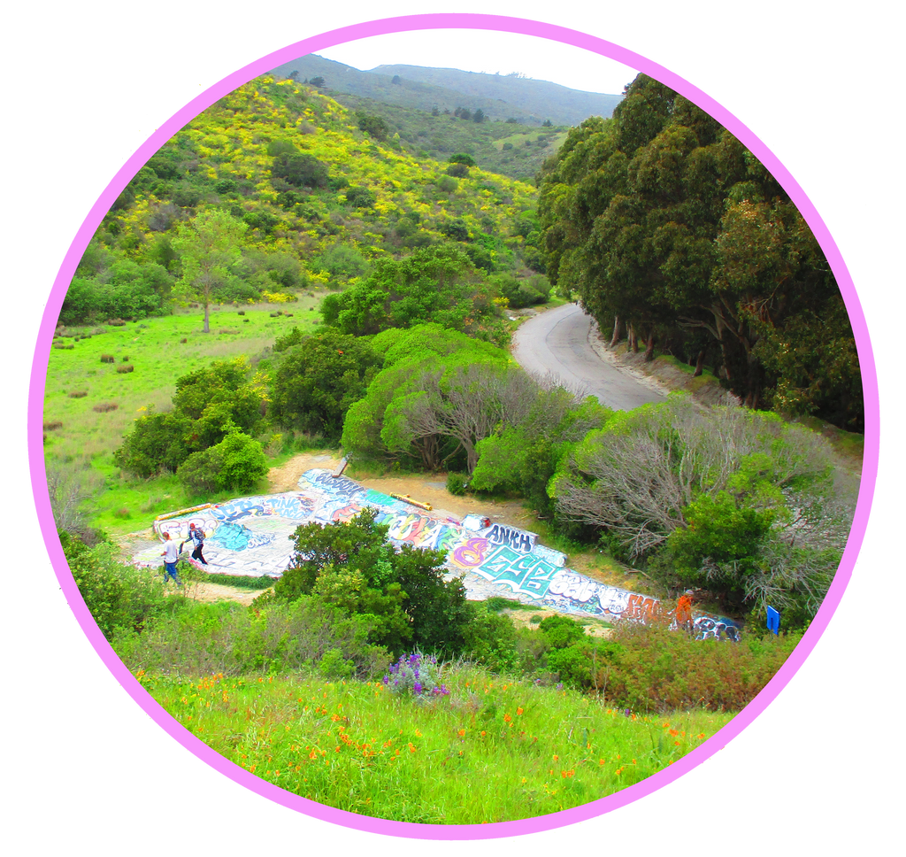 pink taco skate – frog skateboards